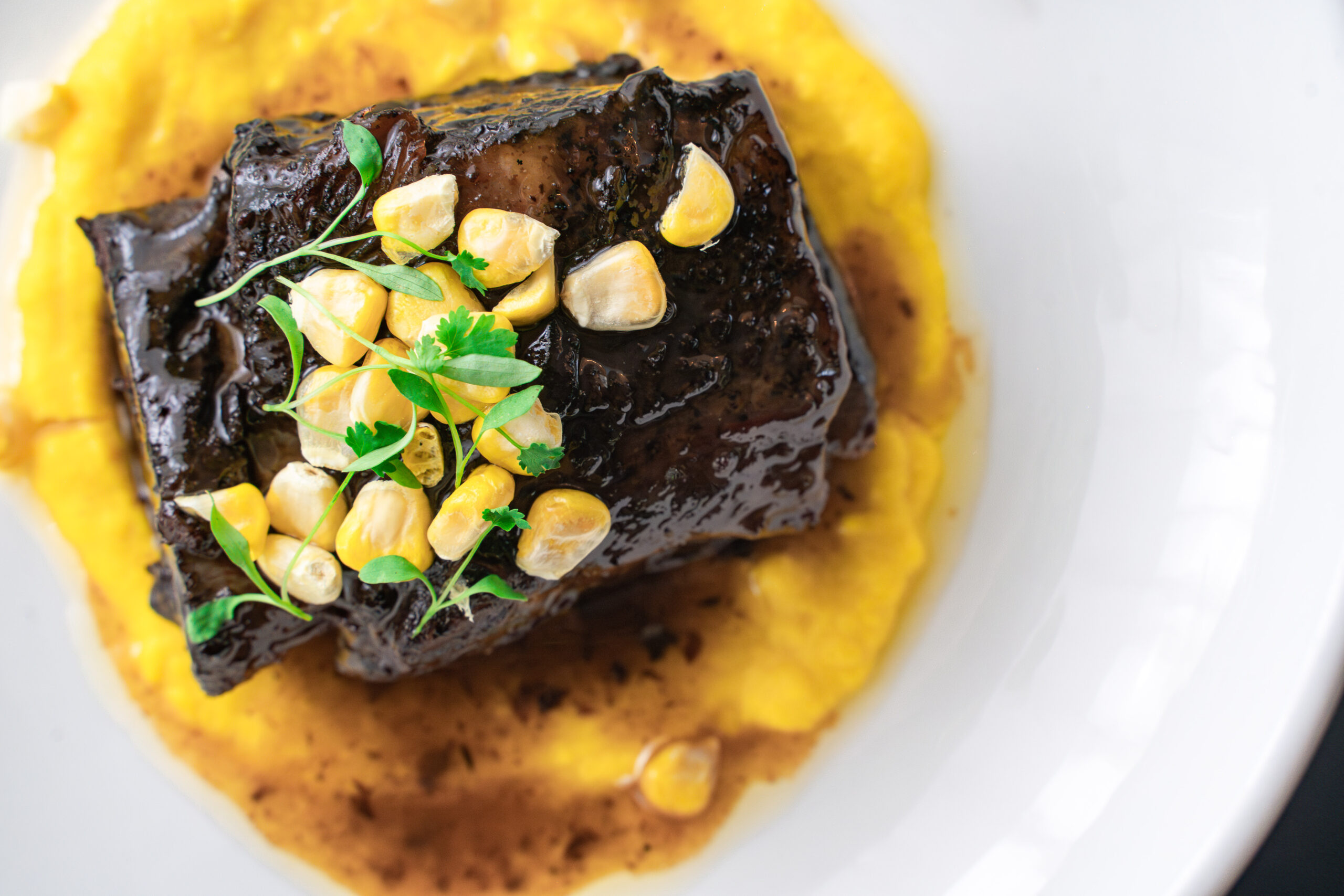 Conservatorium - Conservatorium